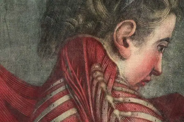 L'Ange anatomique : quand le dos fascine - Le Mag - Les Champs Libres